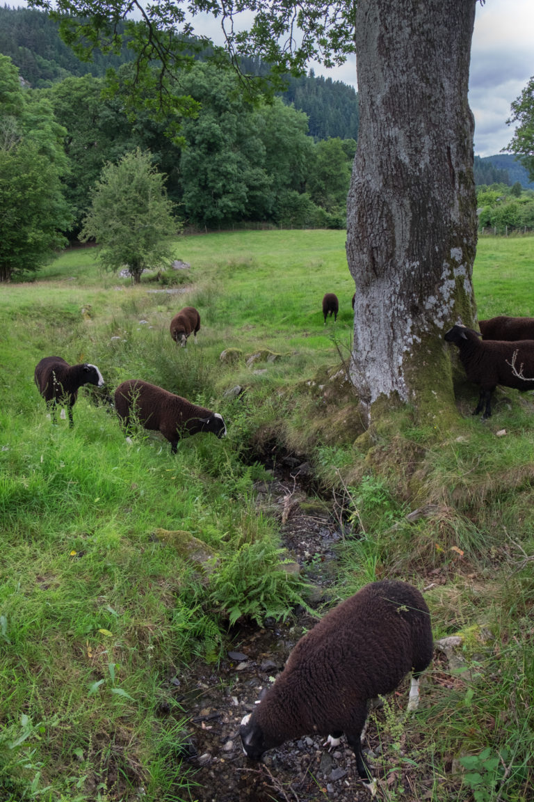 Exploring the Welsh Countryside and Snowdonia National Park ...
