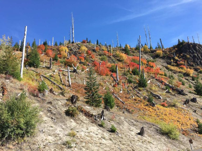 Best Destinations to See Fall Foliage in the United States - Everywhere ...