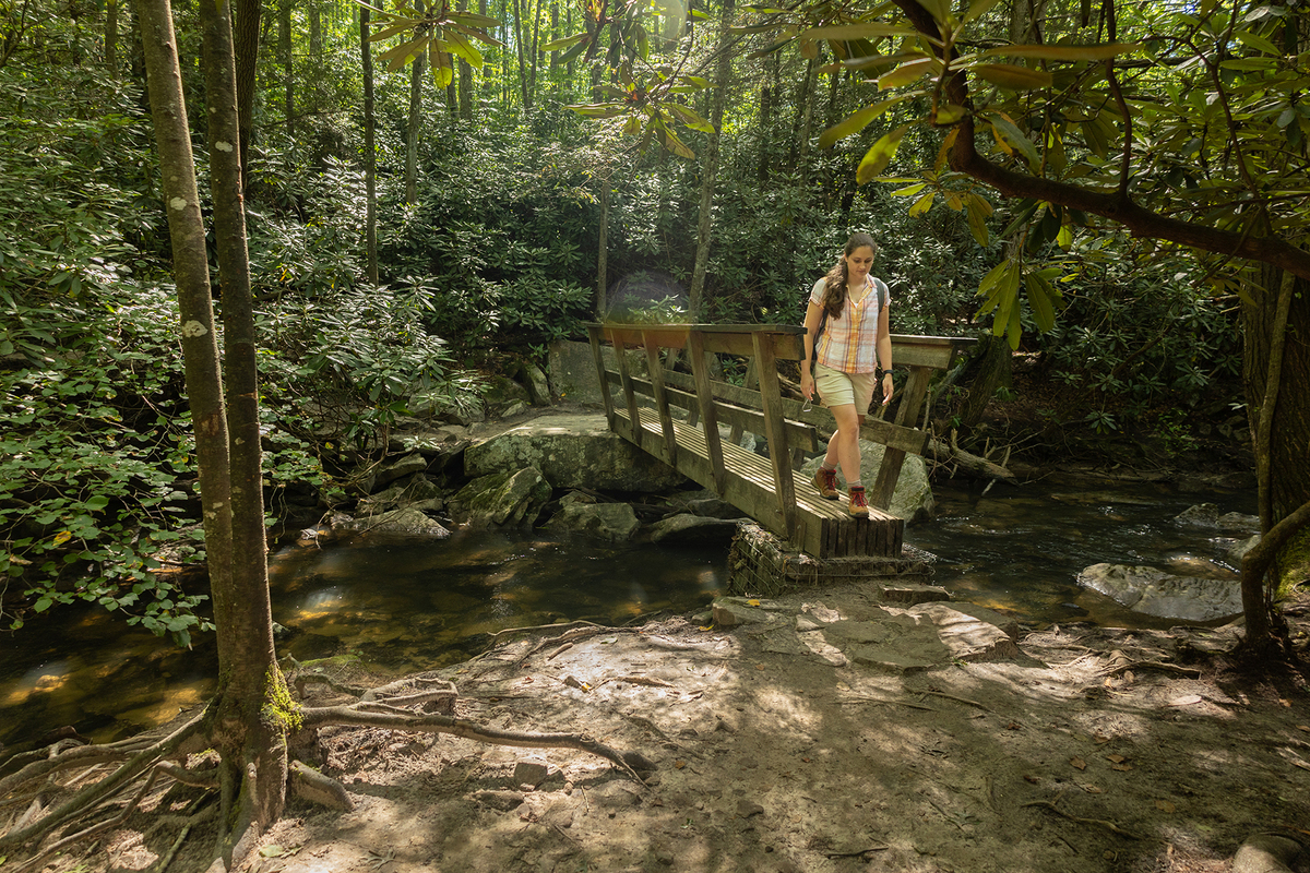 Best Hikes and Trails in New River Gorge National Park - Everywhere Forward