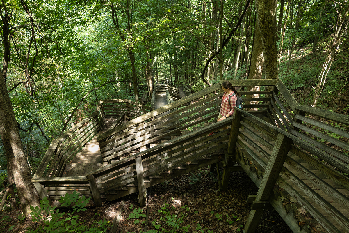 Best Hikes and Trails in New River Gorge National Park - Everywhere Forward