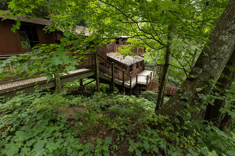 Best Hikes and Trails in New River Gorge National Park - Everywhere Forward