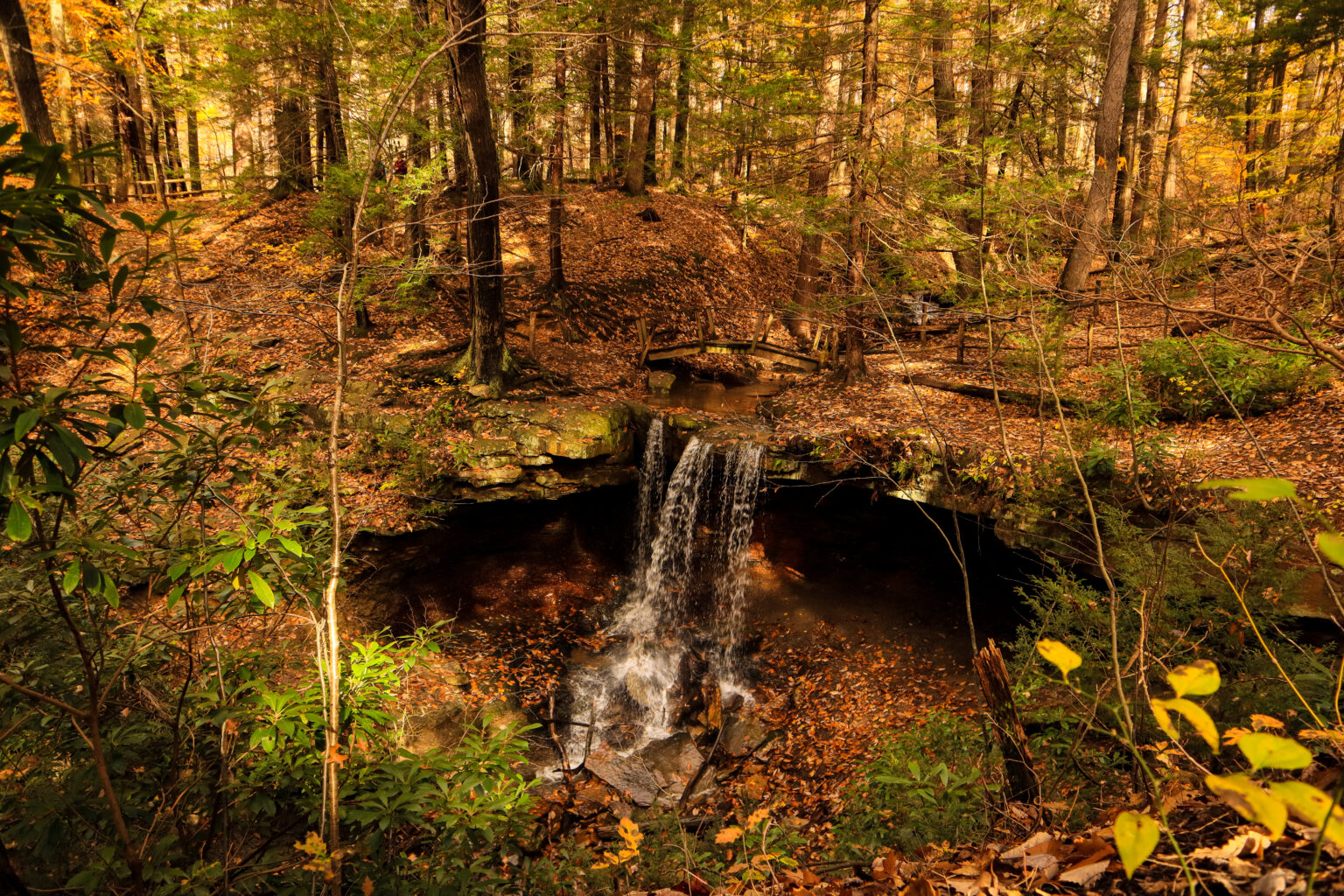 Madison Falls: A Hidden Gem at Olympic National Park - Everywhere Forward
